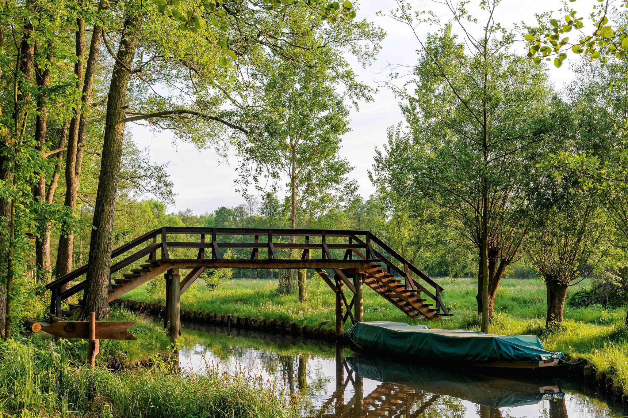 Fahrradtouren planen: die schönsten Routen mit deinen Fahrrad - Sintre